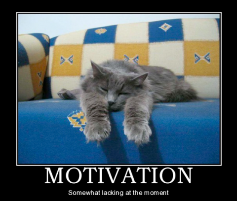Low Motivation Memes Mindset | Motivation | Business | 💯 Follow Us